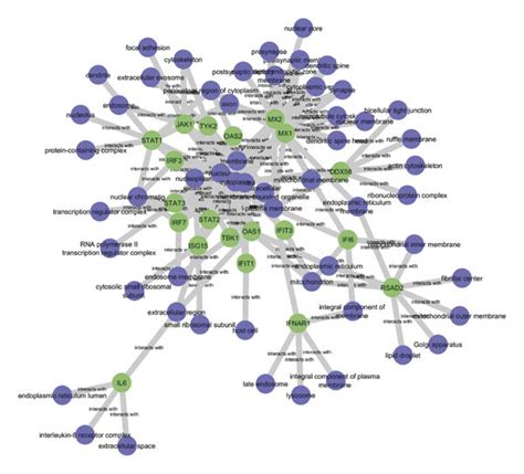 Bipartite Graph Of Important Protein Cellular Component Download