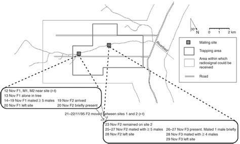 Map And Calendar Of Mating Behaviour Observed In November 1995 On Two Download Scientific