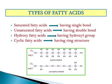 Lipids Properties Classification Function PPT
