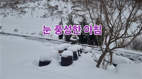 눈 풍성한 아침 Youtube