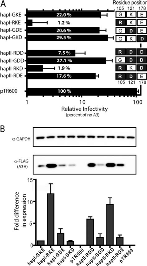 Identification Of Mutations Essential For Antiviral Activity Of