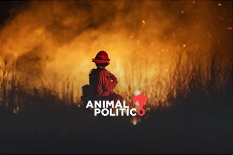 Los Ángeles Enfrenta El Peligro De Nuevos Incendios Por Fuertes Vientos