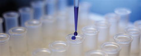 Targeting Rna Explore Magazine