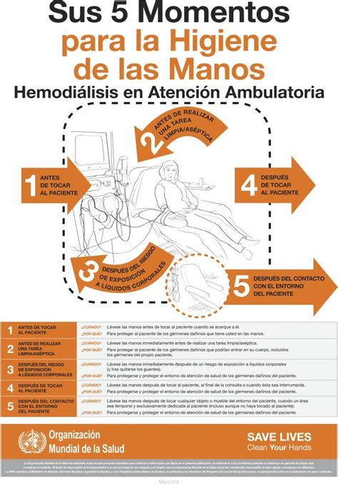 Posters Adhesivos Lavables Oms Sus Momentos Para La Higiene De Manos