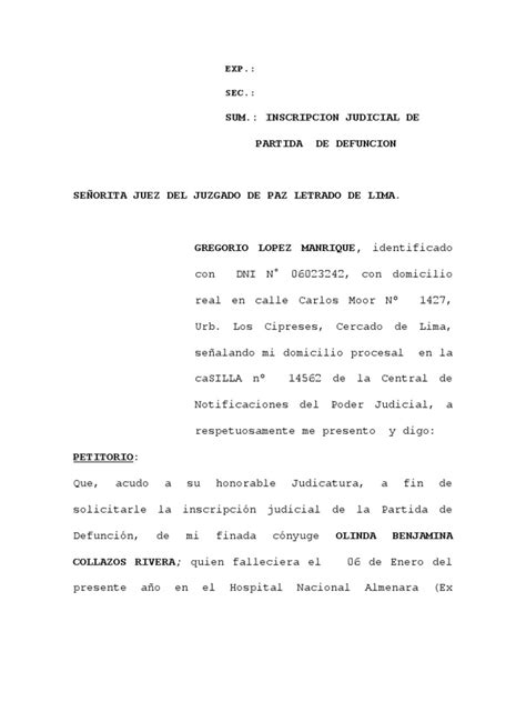 Demanda De Rectificacion Partida De Defuncion Pdf Gobierno Justicia