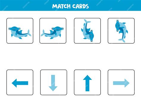 Premium Vector Left Right Up Or Down Spatial Orientation With Cute