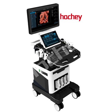 Hochey Medical CE Approved Hot Sale Medical Ultrasound 3D 4D Color