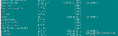 Conda Install Nbconda出错conda Debug 443 Csdn博客