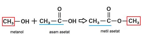 Tulislah Rumus Kimia Dan Nama Ester Yang Terbentuk