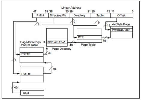 x64四级分页机制 怎么可以吃突突 博客园