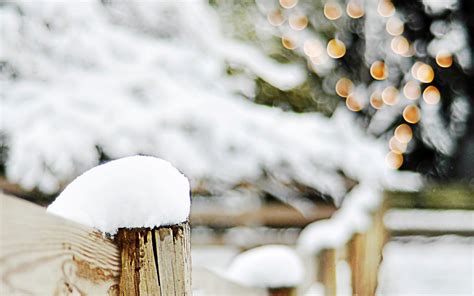 Snow On Tree Branches Wallpapers Wallpaper Cave