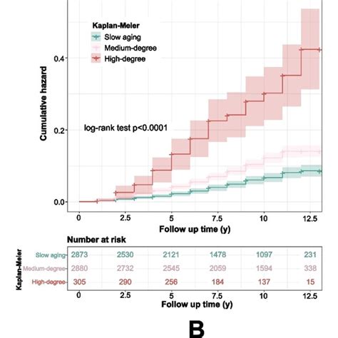 Kaplanmeier Estimates Of The Cumulative Incidence Of Mortality By