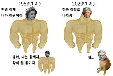 근육 시바견 밈 모음 네이버 블로그
