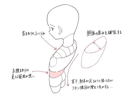 ふるいけ On X 斜め後ろから見た胴体を描くときのポイントメモです。 Basqf1bqml X【2024
