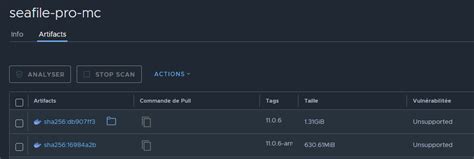 Seafile PRO Docker Compose Tips And Help On Installation Seafile