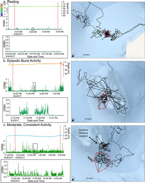First Passage Time Fpt Analysis Results Showing Area Restricted Download Scientific Diagram