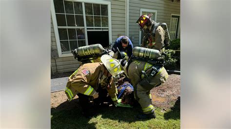 Dramatic Rescue Peachtree City Firefighters Pull 140 Pound Dog To