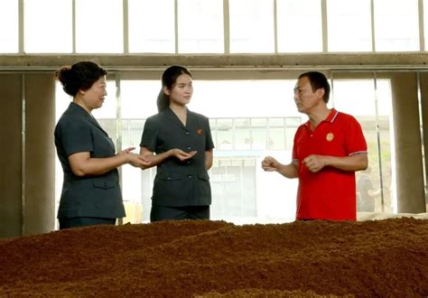 法耘兴企 厚植法治沃土 守护柑桔园区企业发展澎湃号·政务澎湃新闻 The Paper