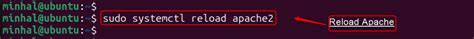 how to install apache on ubuntu 24 04 linux genie