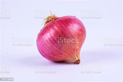 잘 익은 양파형 흰색 바탕에 흰색 배경 가득 찬에 대한 스톡 사진 및 기타 이미지 가득 찬 갈색 건강한 식생활 Istock
