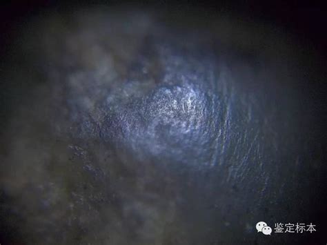 紅山文化玉器鑑定之玉龍胎 每日頭條