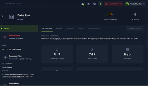 Hackthebox Web Challenge Prying Eyes Walkthrough By Amulya Maguluri Medium