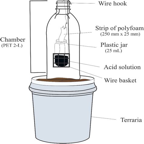 Mobile Ammonia Chamber Details For Ammonia Measurement In Dung Beetle Download Scientific