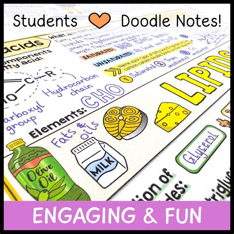 Lipids Doodle Notes Emmatheteachie