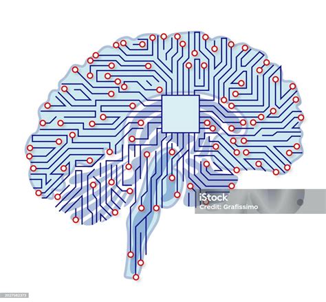회로 기판을 가진 인간 뇌의 부분의 계획 백색에 고립된 뇌 해부학으로 Cgtp에 대한 스톡 벡터 아트 및 기타 이미지 Cgtp Saas 개념 Istock