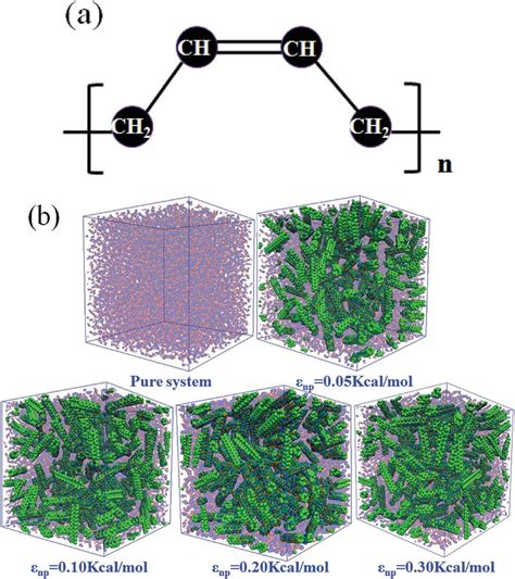 A United Atom Models For Cis 14 Polybutadiene Pb B Snapshots Of Download Scientific
