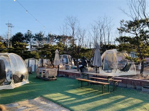 별내 보나리베 대형 베이커리 브런치 정원 심야 카페 네이버 블로그