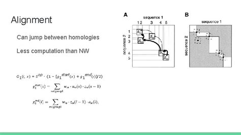 Mafft Multiple Sequence Alignment Using Fast Fourier Transform
