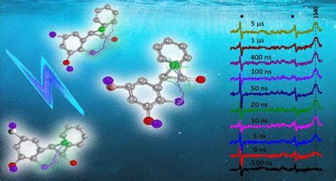 Time Resolved Spectroscopic Study Of A Photoinduced Intramolecular