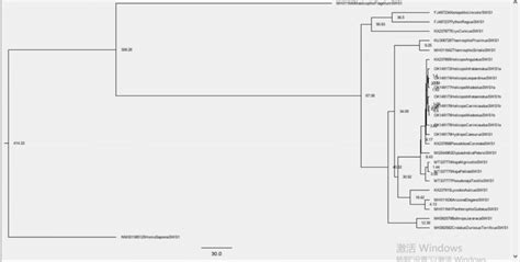 34 Questions With Answers In Figtree Science Topic