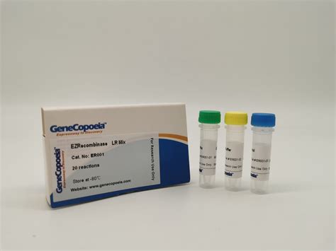 Recombination Cloning DNA Fragment Transfer GeneCopoeia