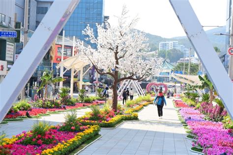 부산광역시 해운대구 해운대 모래축제