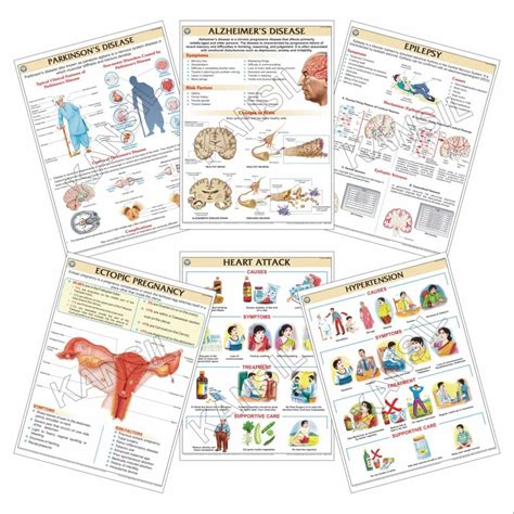 Multicolor Medical Nursing Charts On Pathology Set Of 22 Charts Size