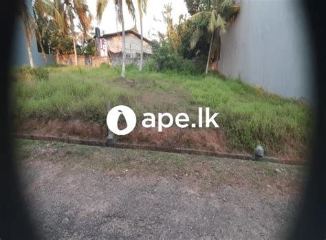 Land Located Near Piliyandala Kotagedara Junction For Sell Colombo Piliyandala 6963