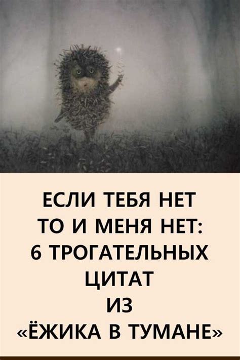«Если тебя нет то и меня нет 6 трогательных цитат из «Ёжика в тумане Для души Постила