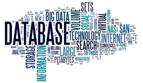 Why Databases Are Important To Business