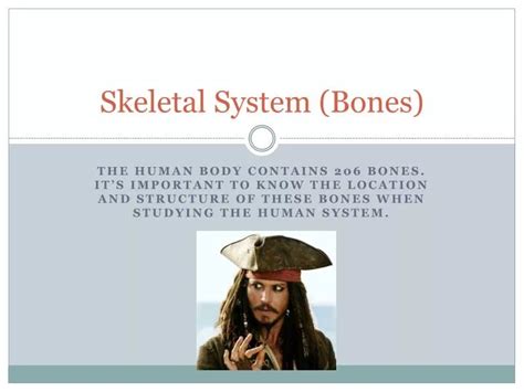 PPT Skeletal System Bones PowerPoint Presentation Free Download ID
