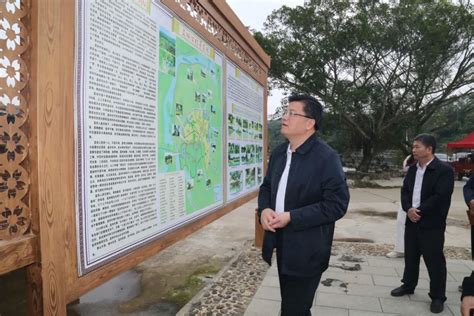 黎沛荣到横陂镇蓝田村调研“百千万工程典型村”建设澎湃号·政务澎湃新闻 The Paper