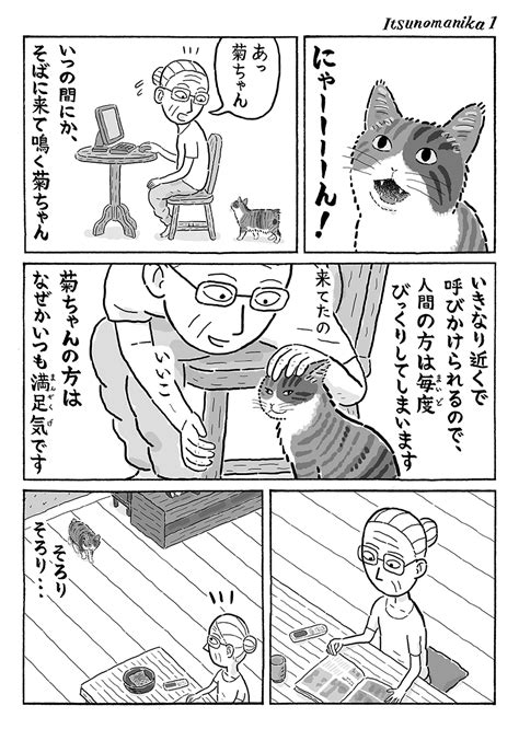 「2ページ猫漫画「いつの間にか近くで鳴く菊ちゃん」 猫の菊ちゃん 」湊文『猫の菊ちゃん』の漫画