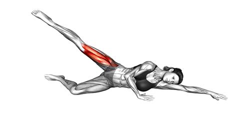 Side Lying Hip Circle Female Exercise Guide And Tips
