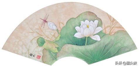 荷花蜻蜓扇面作品詳細畫法及染色步驟 每日頭條