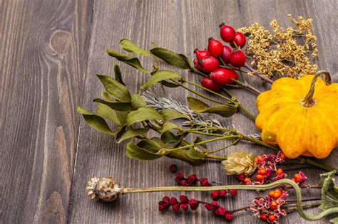 할로윈 개념 배경입니다 마녀 중산모 겨우살이 엘더베리 마른 허브 꽃 신선한 열매 박격포와 배봉 씨앗 오래된 나무 보드 0명에