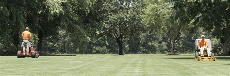 About Us Ninja Lawns
