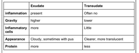 PATH L16 Edema Heart Failure Flashcards Quizlet
