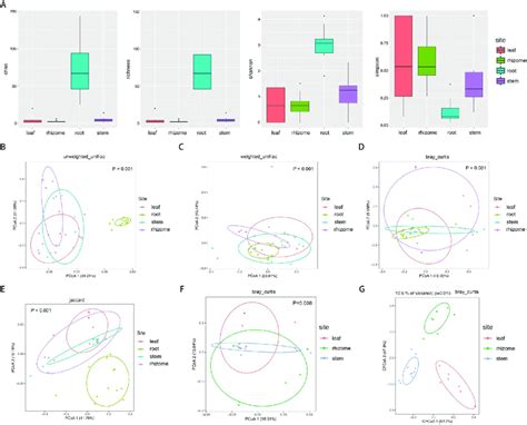 Microbiome Alpha And Beta Diversity Estimates A Species Richness