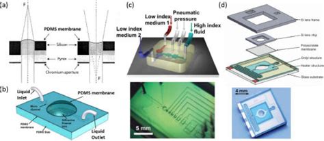 A Cross Sectional Diagram Of A Membrane Based Microfluidic Microlens Download Scientific